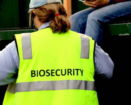 Biosecurity/Quarantine Inspection Services - JNZ Movers